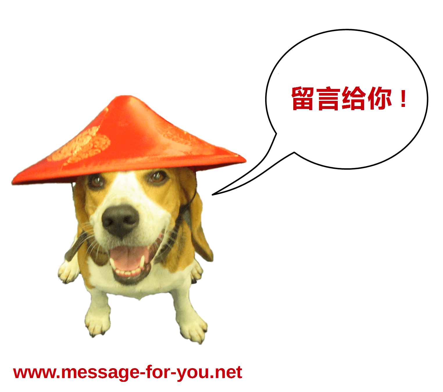2018 The Year of the Dog and an important message! - Message-For-You.net